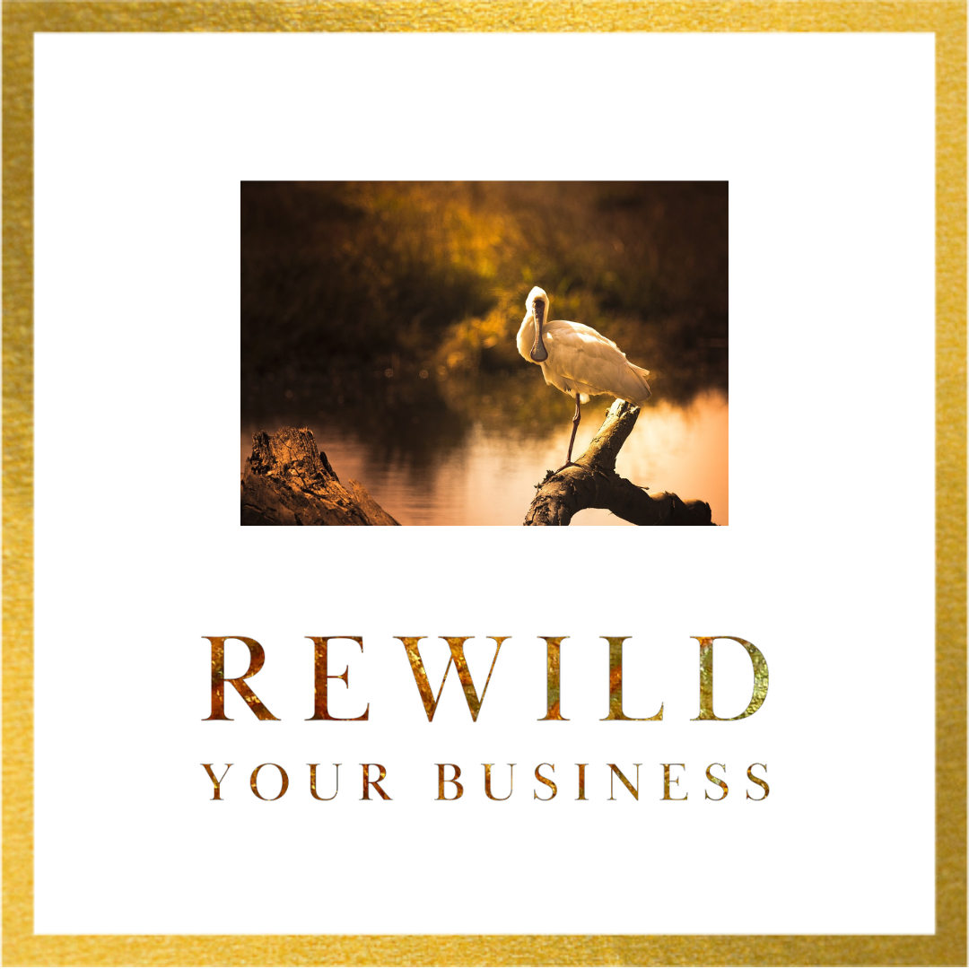 Rewild Your Business
